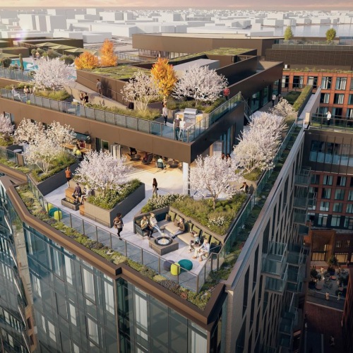 Studio, 1, 2, 3, 4, 5, or 6 bedroom apartments in Washington | Colette